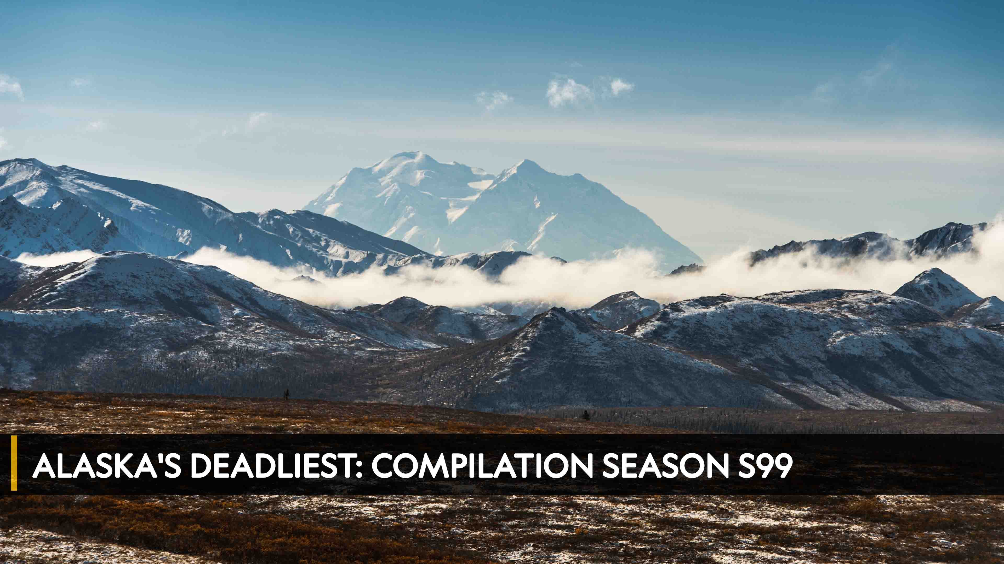 Watch Alaska's Deadliest: Predator Prowl on TV | OSN Home UAE