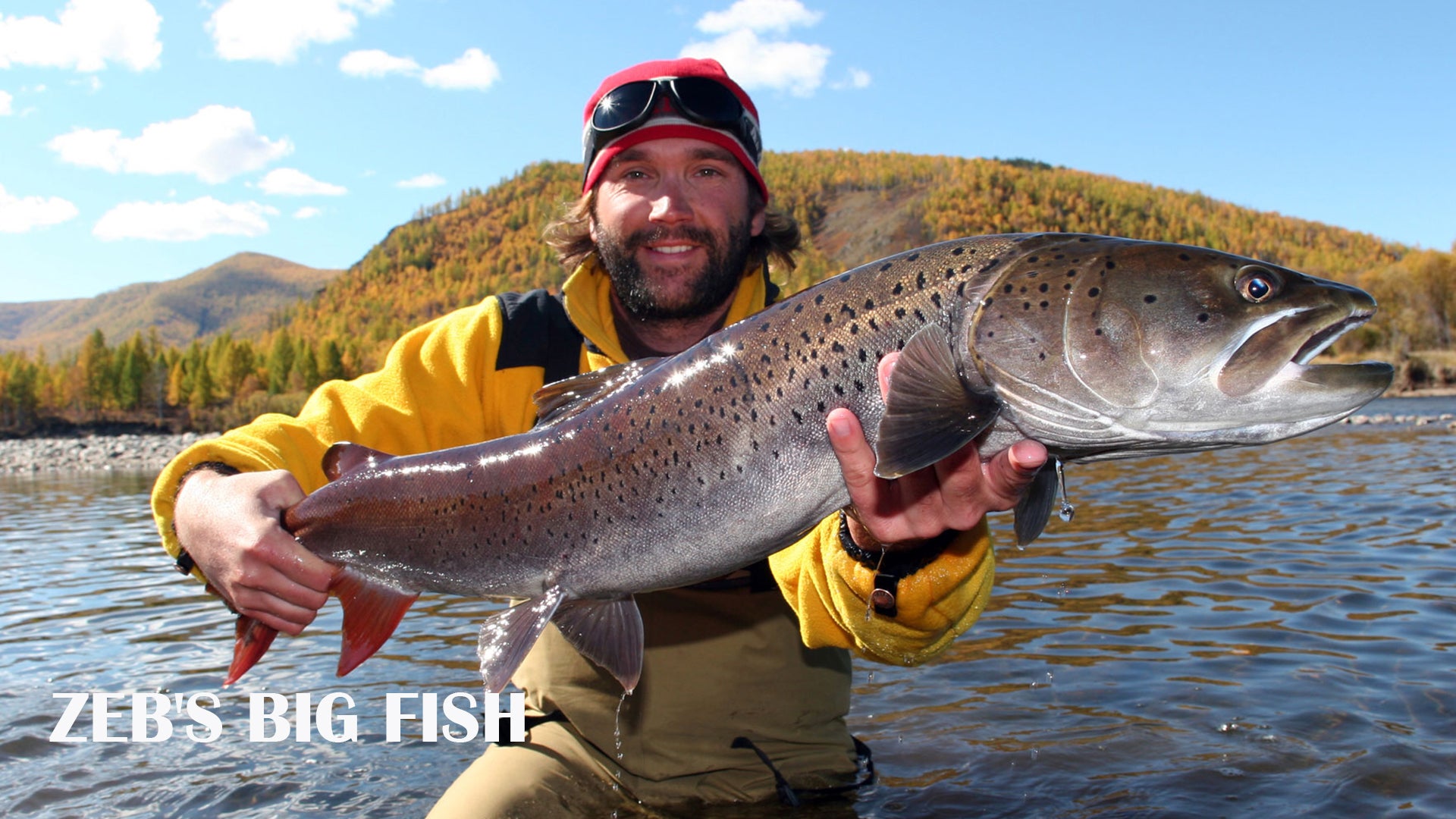 مشاهدة Zeb's Big Fish | OSNtv الجزائر