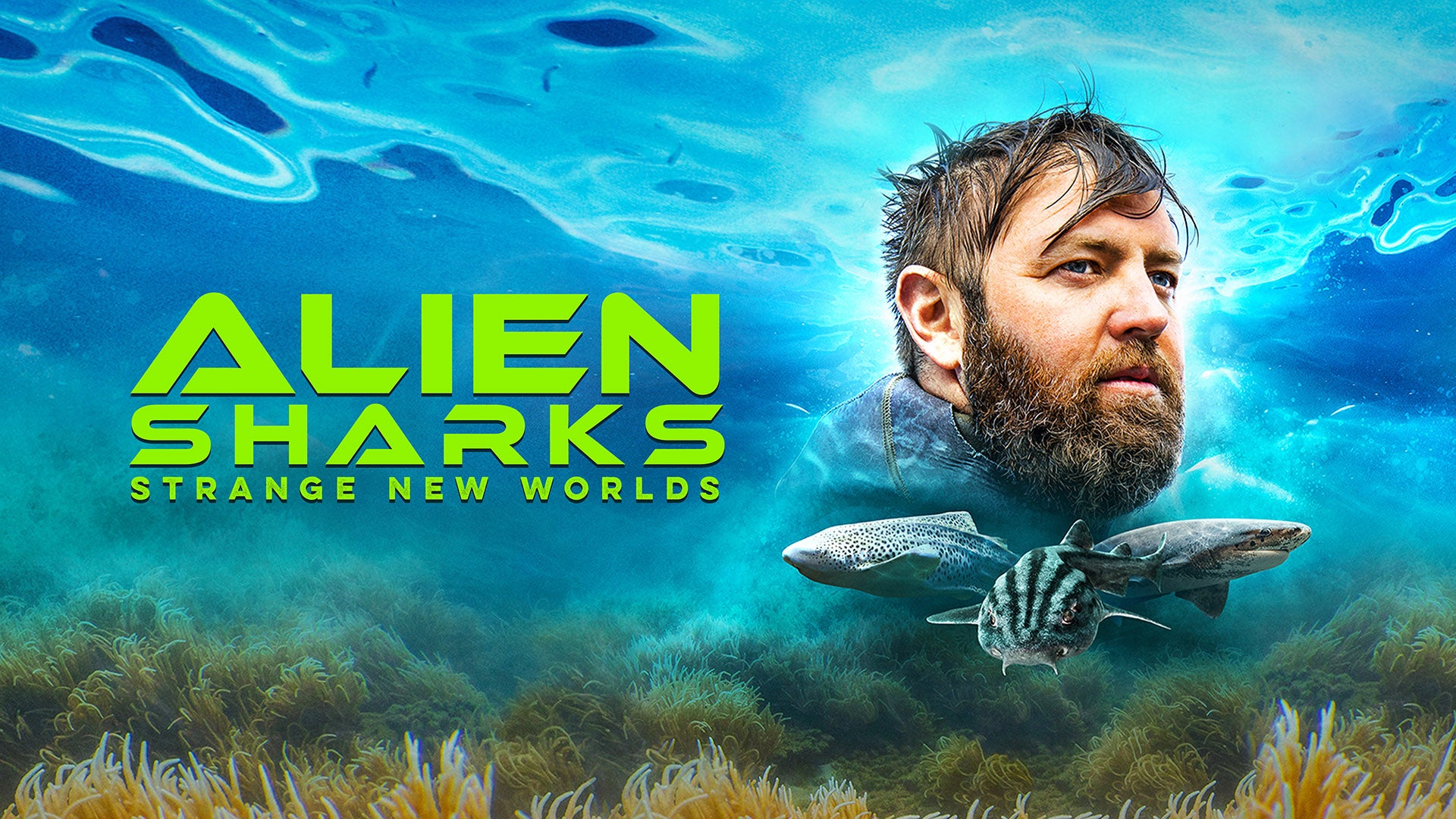 Watch Alien Sharks: Strange New Worlds on TV | OSN Home Bahrain