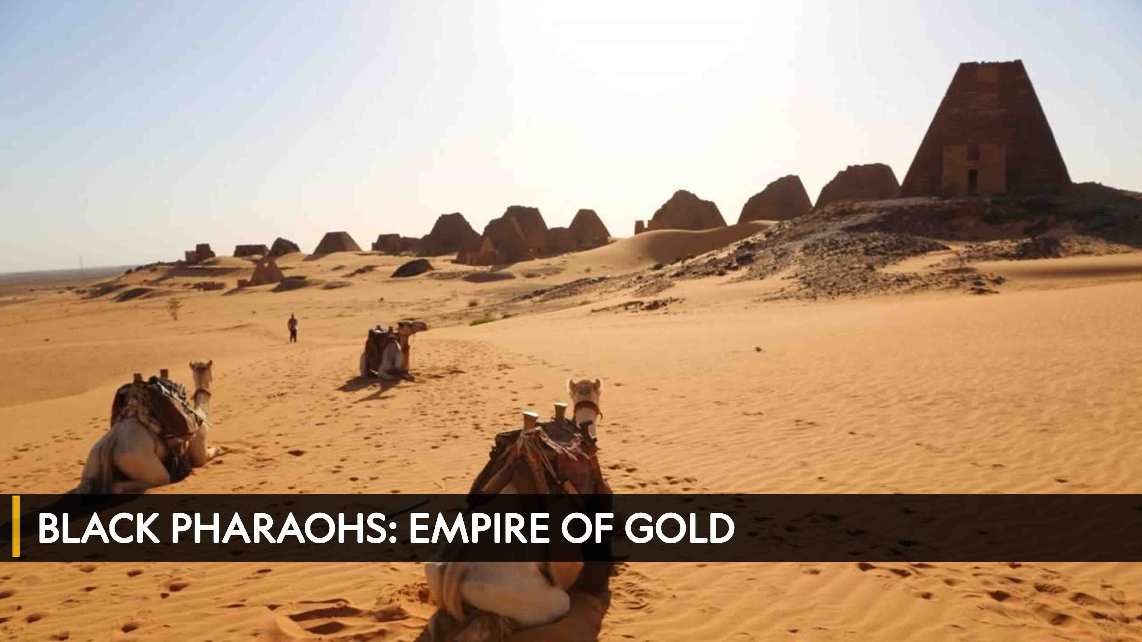 Watch Black Pharaohs: Empire Of Gold on TV | OSN Home Palestine