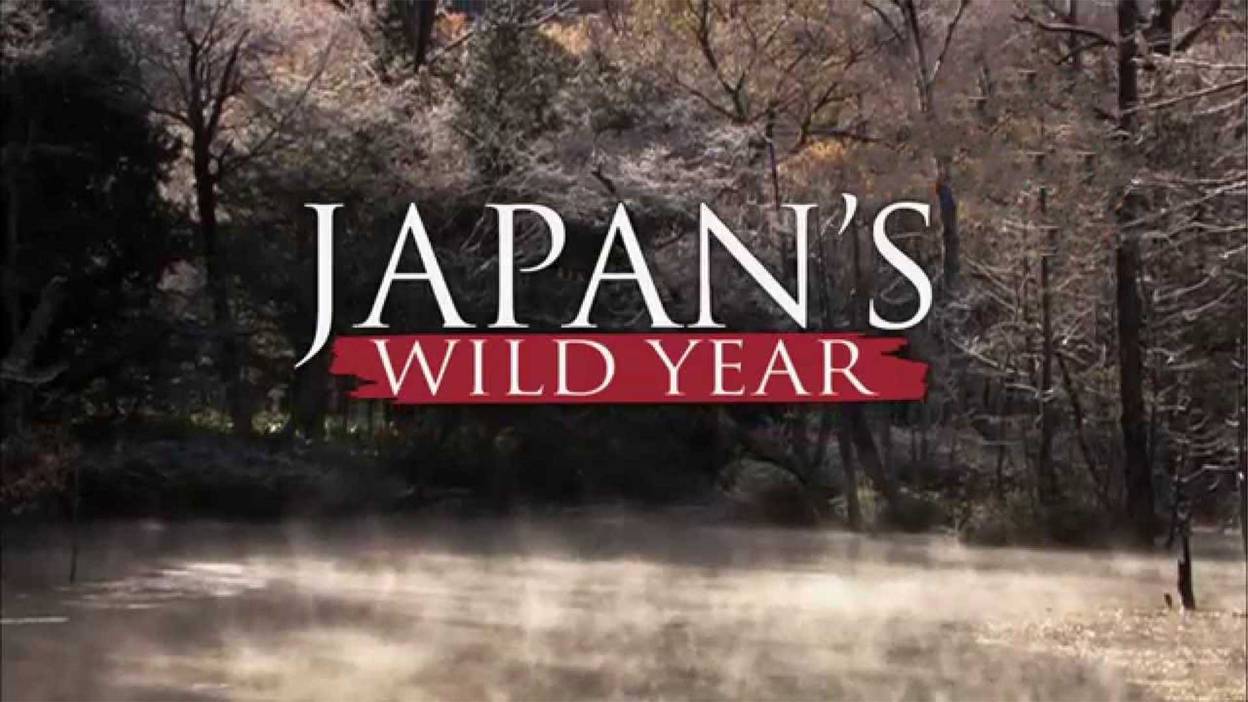 Watch Japan's Wild Year | OSNtv Mauritania