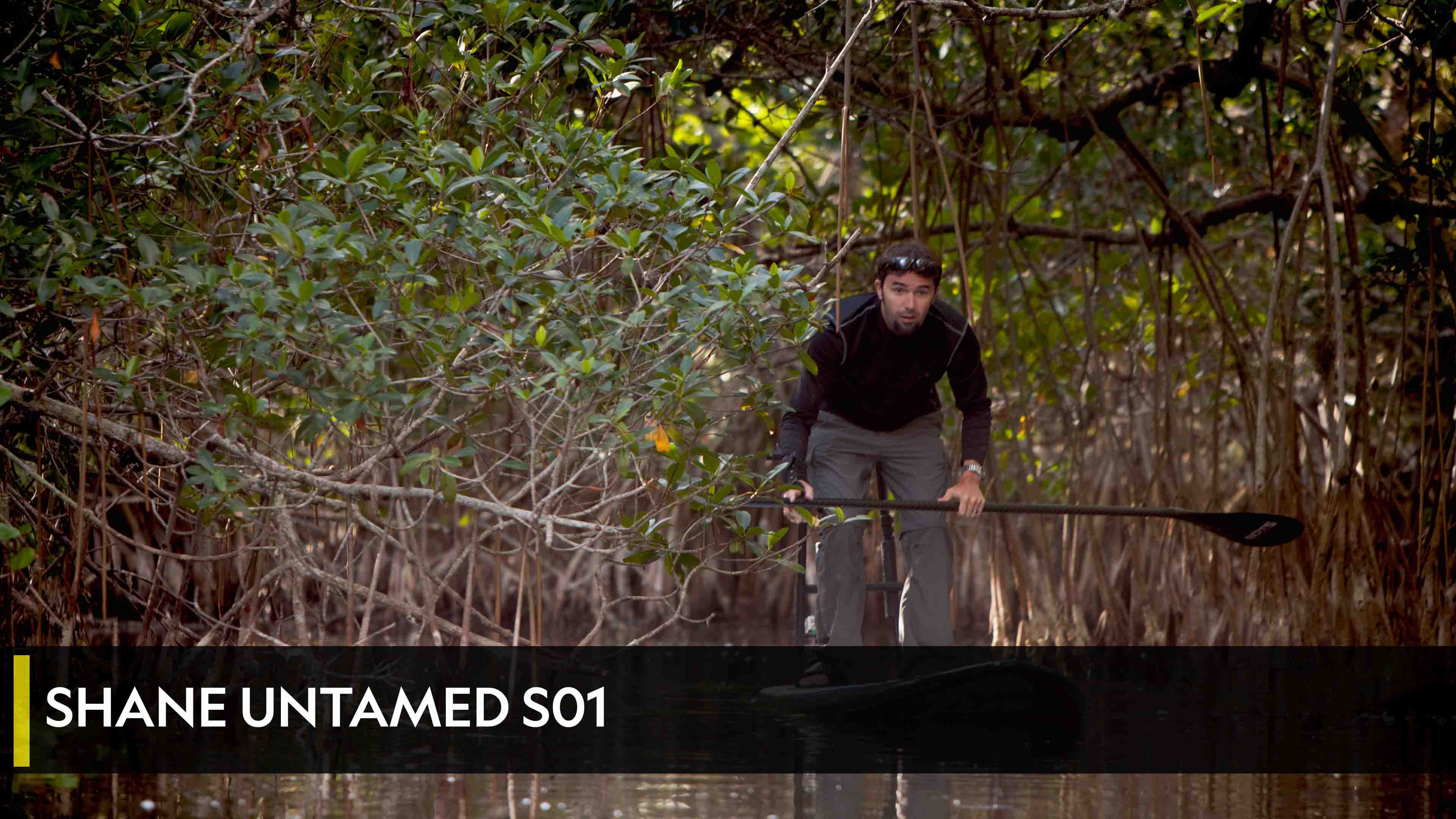 مشاهدة Shane Untamed من بيتك | OSN Home ليبيا