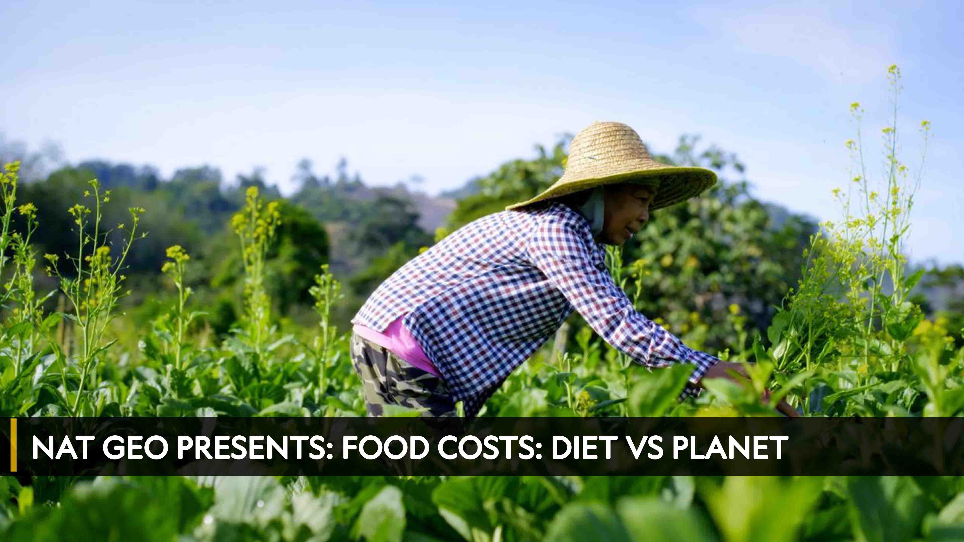 Watch Nat Geo Presents: Food Costs: Diet Vs Planet on TV | OSN Home Kuwait Watch Nat Geo Presents: Food Costs: Diet Vs Planet on TV | OSN Home Kuwait