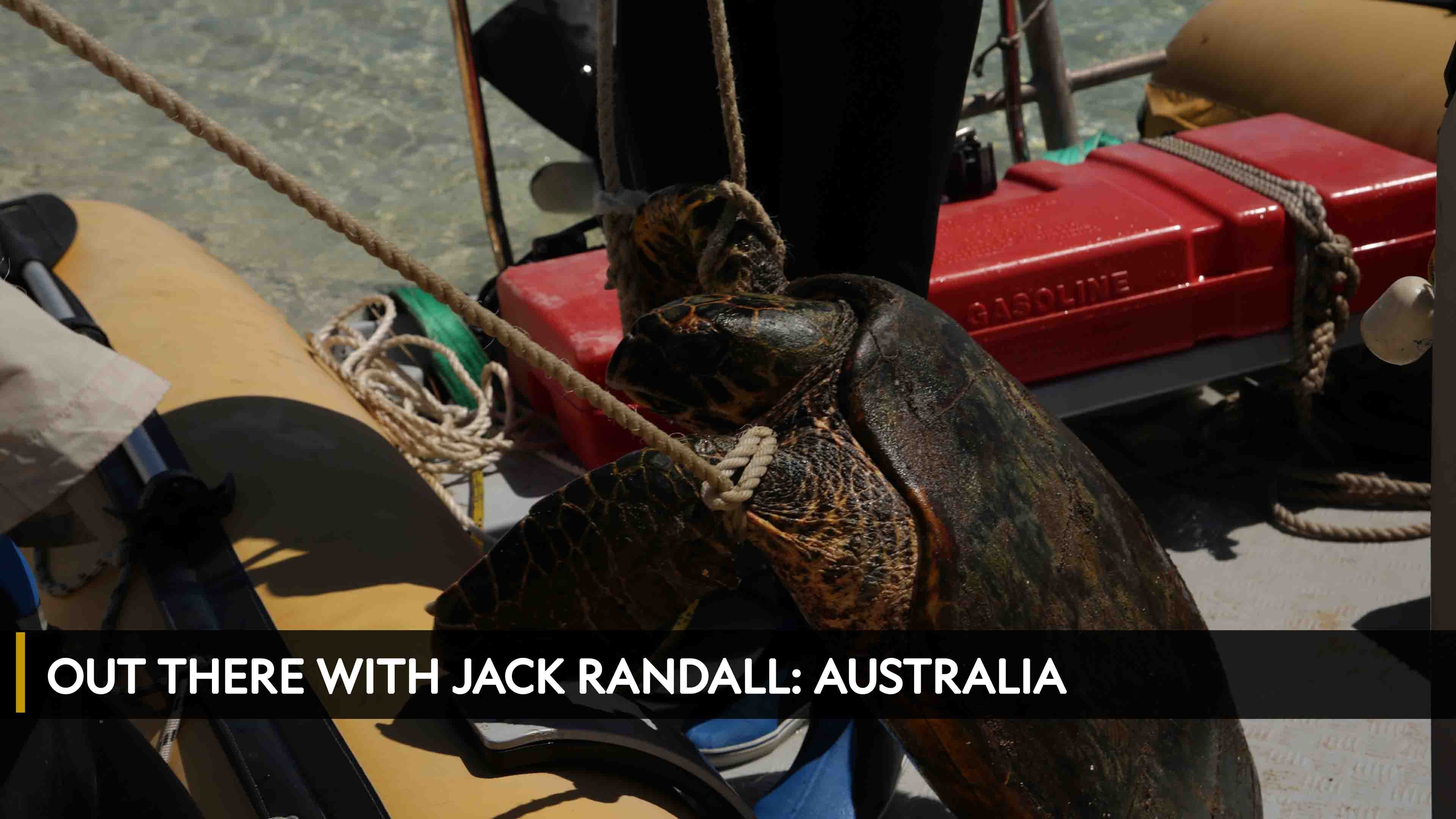 Watch Out There with Jack Randall: Australia on TV | OSN Home Kuwait