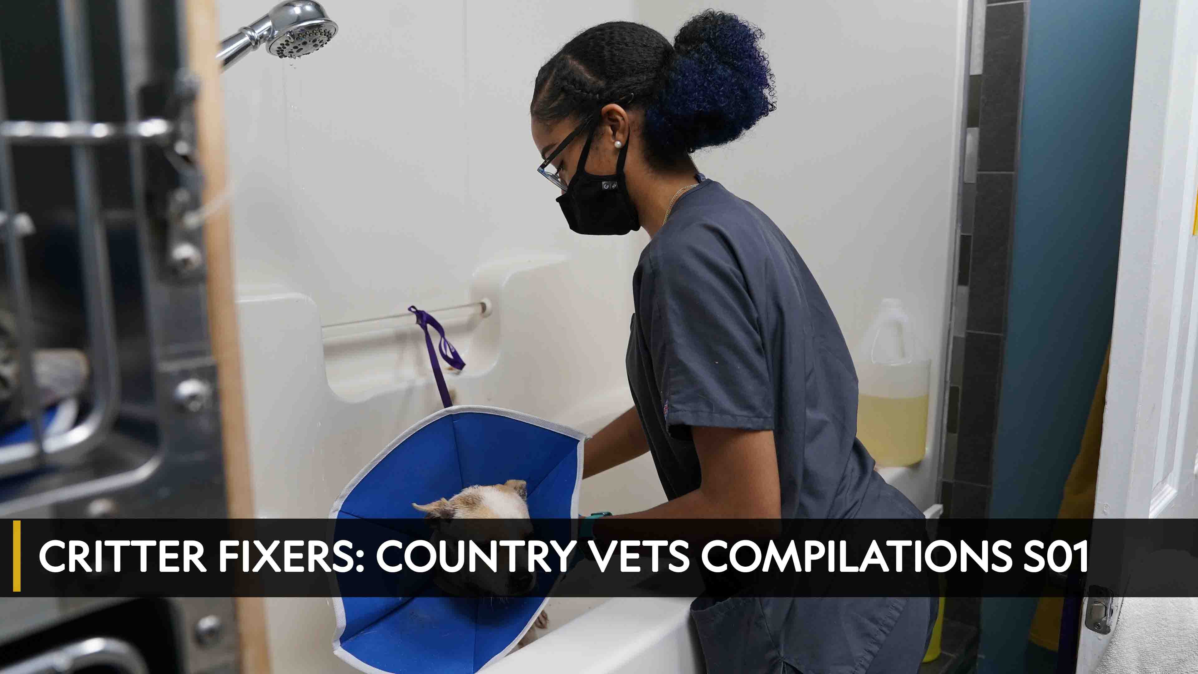 Watch Critter Fixers: Country Vets Compilations on TV | OSN Home Jordan
