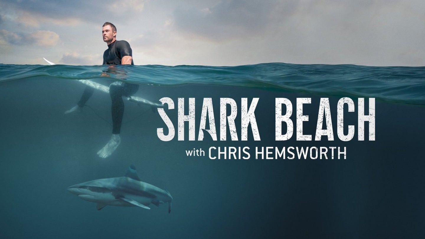 Watch Shark Beach with Chris Hemsworth on TV | OSN Home UAE
