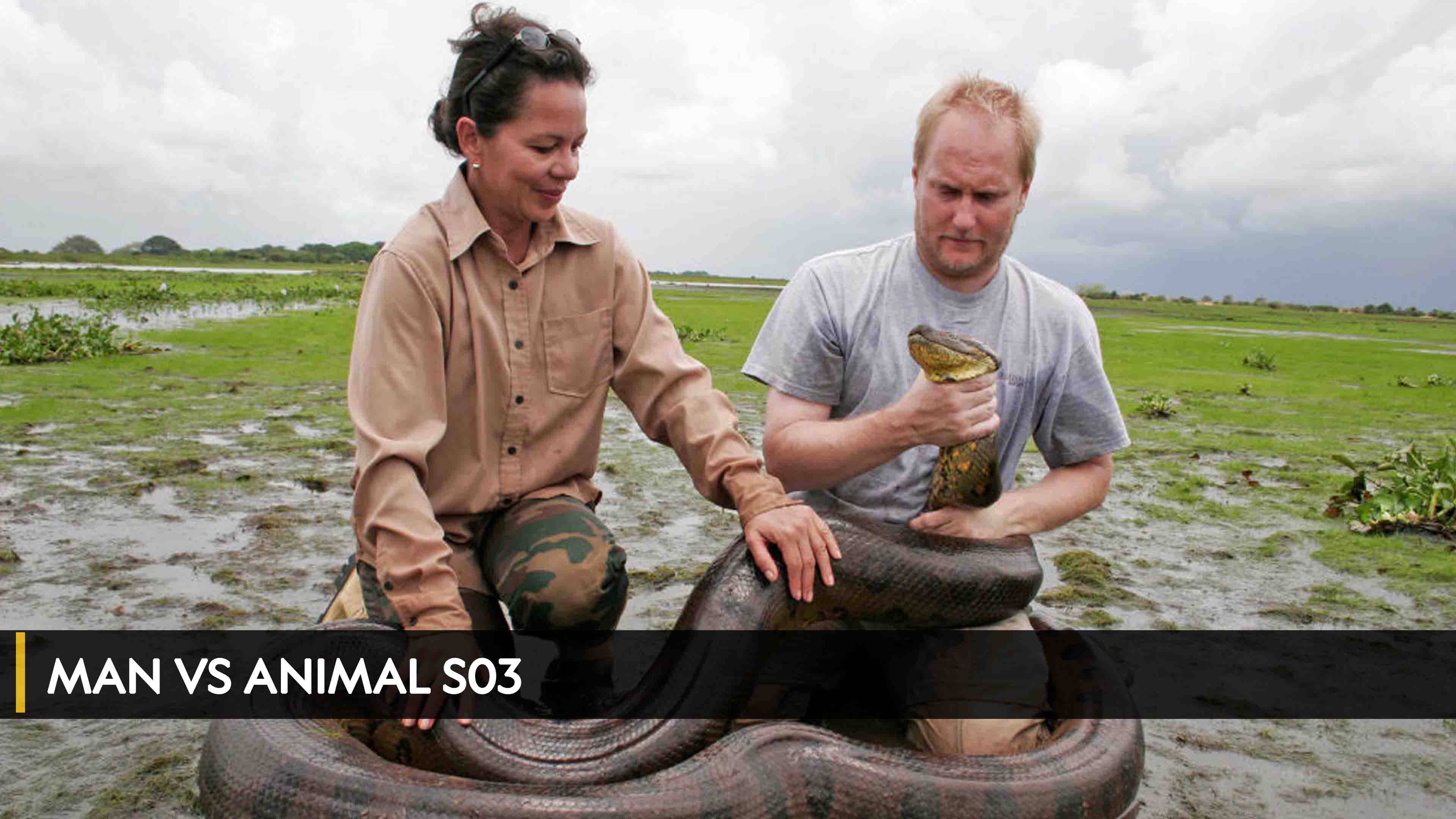 Watch Man vs Animal on TV | OSN Home Iraq