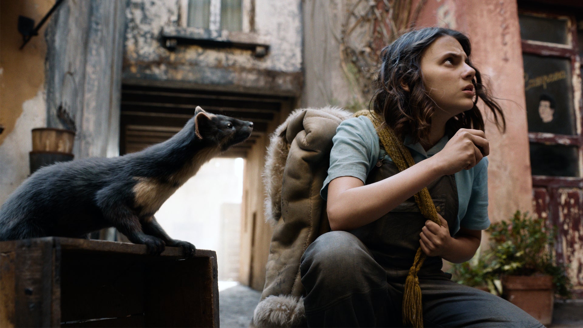 OSN TV Showcase Schedule | OSNtv Egypt