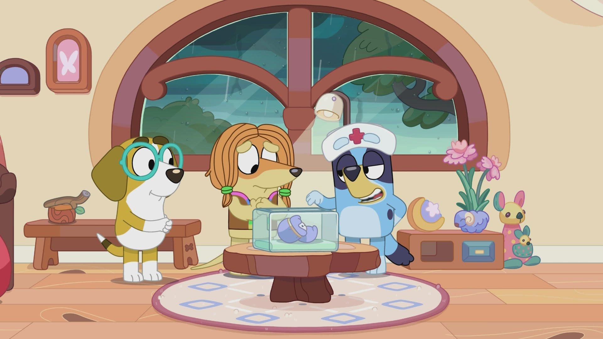 Watch Bluey on TV | OSN Home Oman