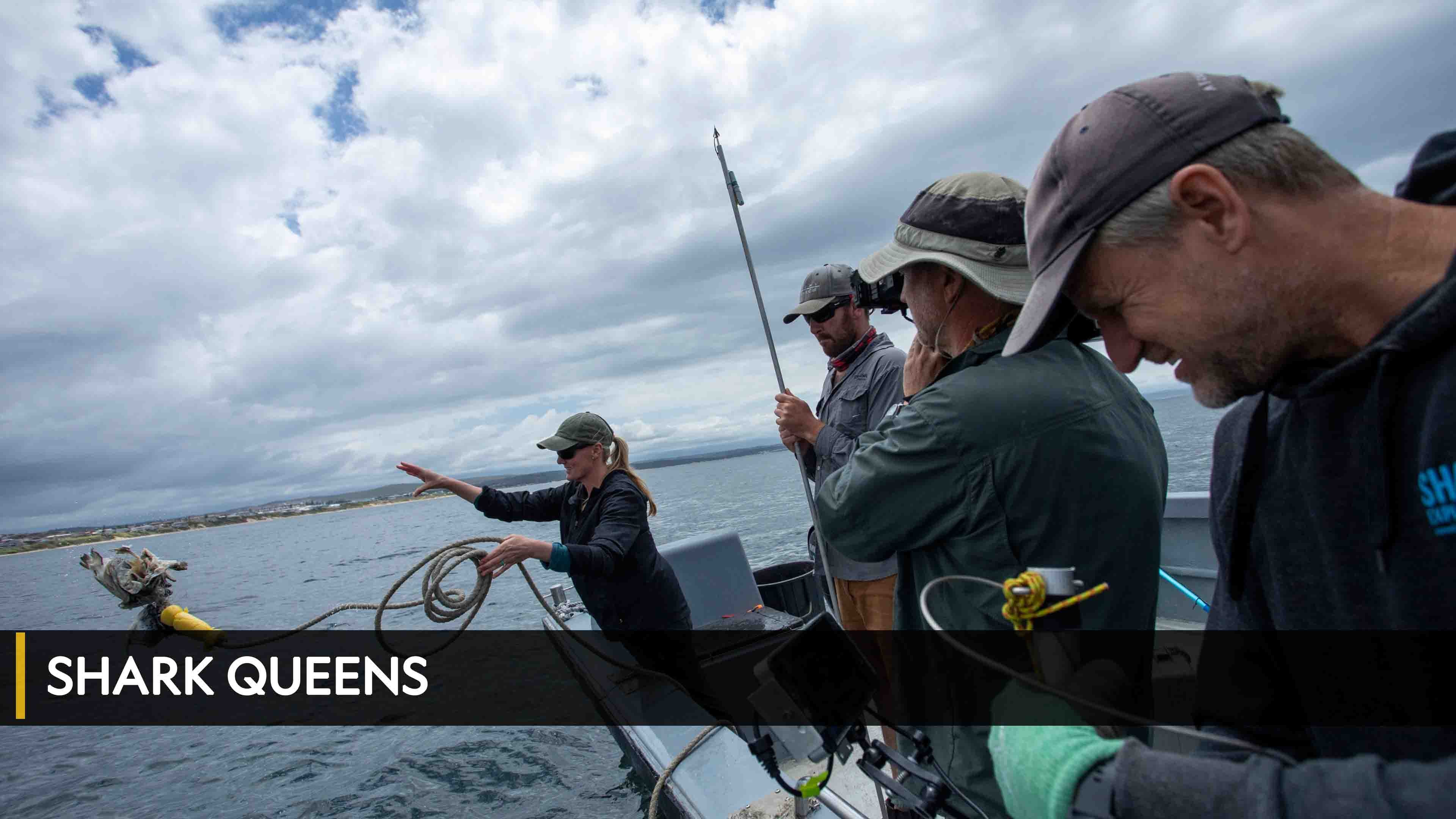 مشاهدة Shark Queens | OSNtv مصـر