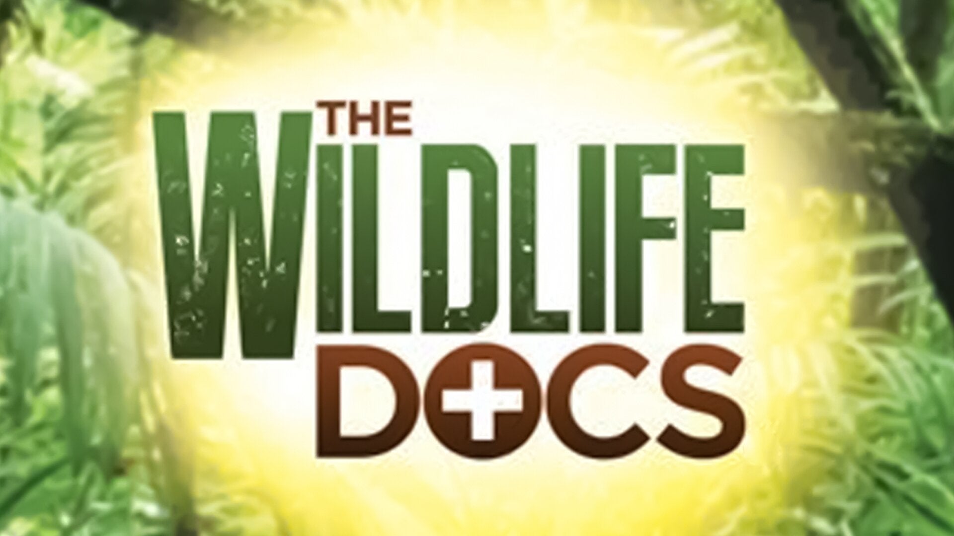 Watch The Wildlife Docs | OSNtv Saudi Arabia